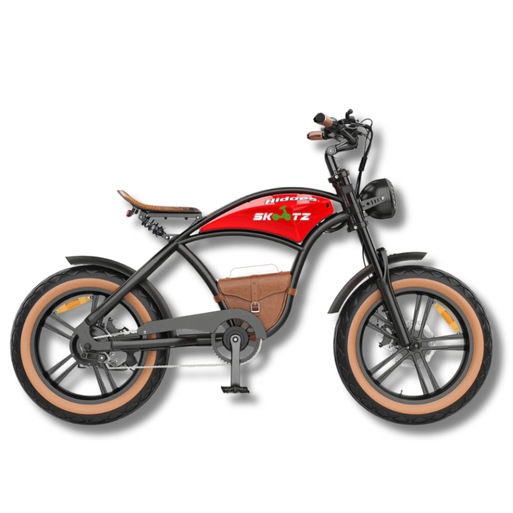 Hidoes B10 Full Suspension Electric Bike – Skootz